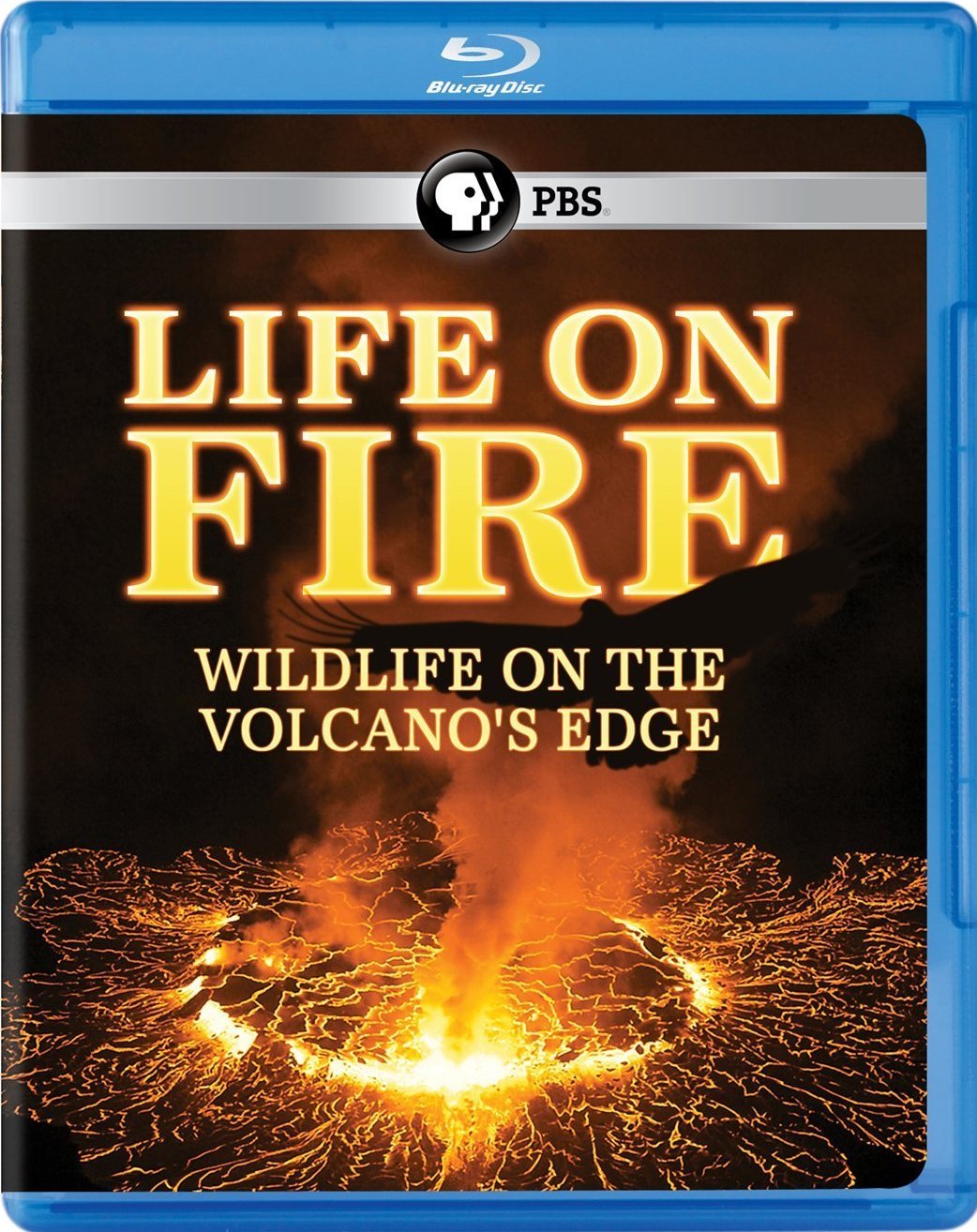 Three PBS Documentary Blu-rays